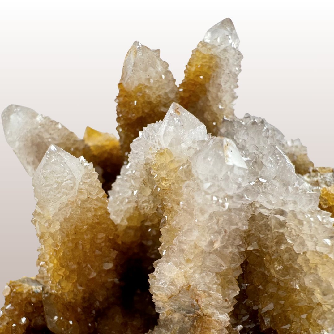 Minerals – Pretty Ugly Things